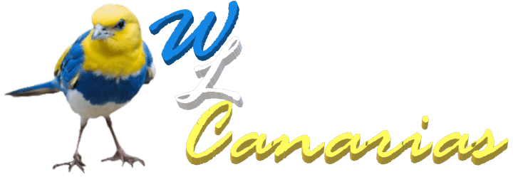 Las 8 Islas Canarias