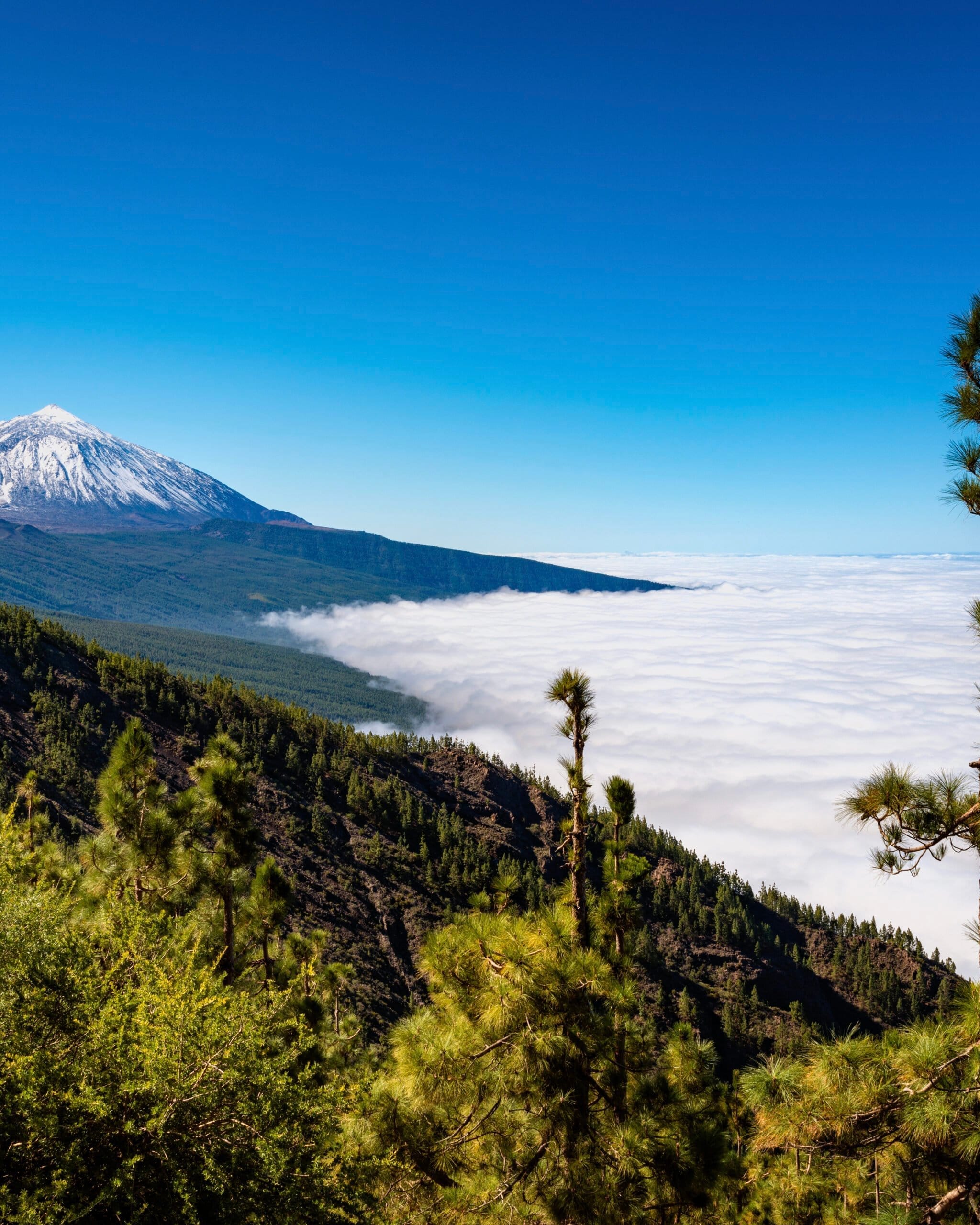 The 8 Canary Islands