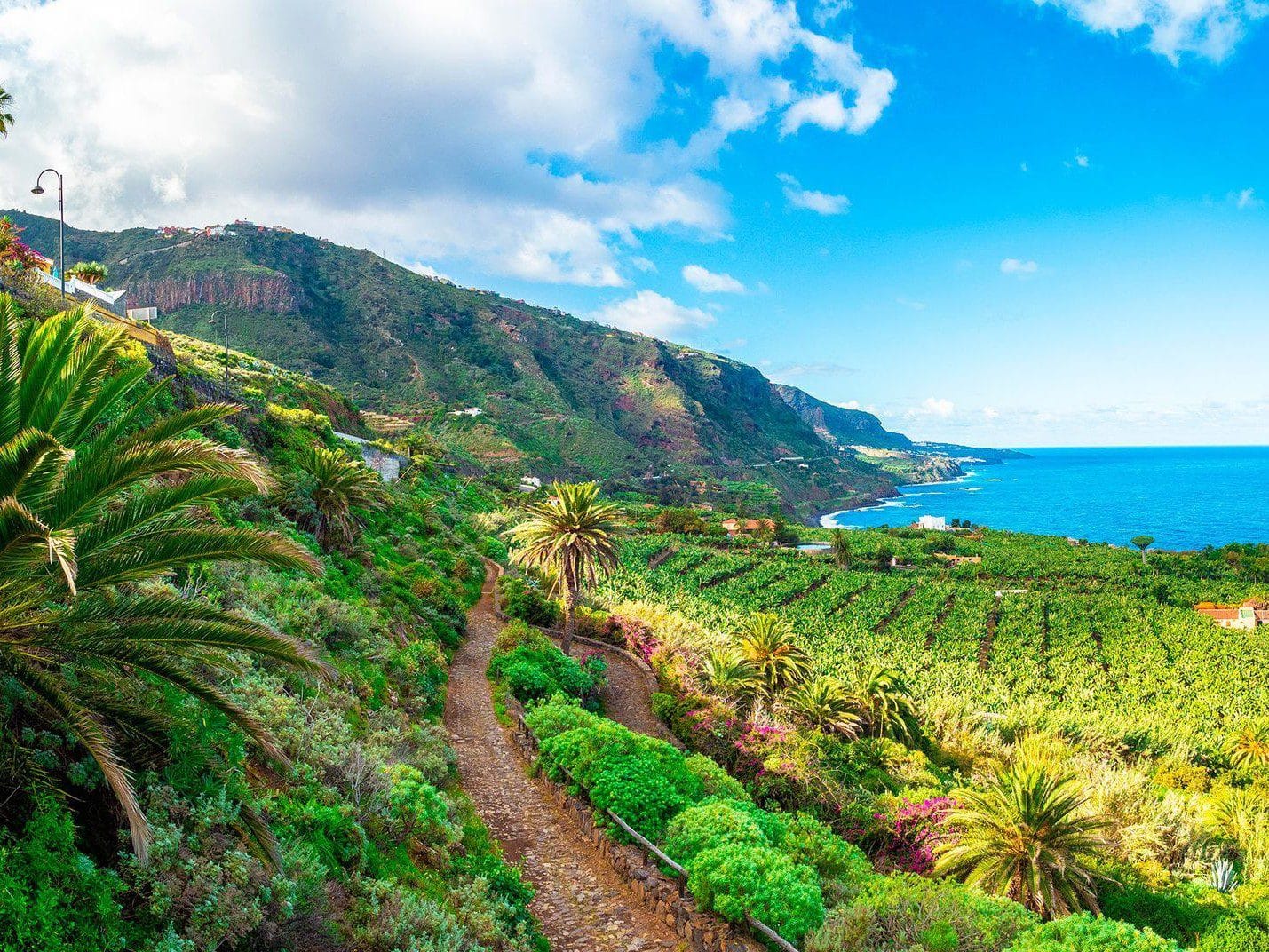 Las 8 Islas Canarias