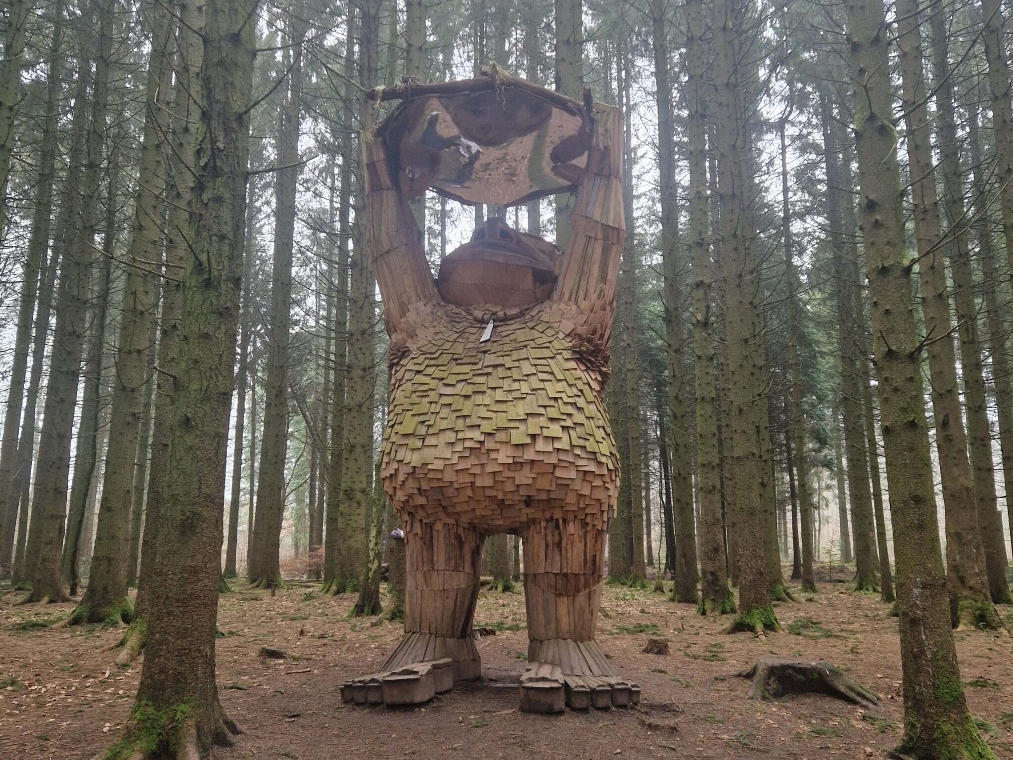 Thomas Dambo: Recycled Wood Giants and Their Impact
