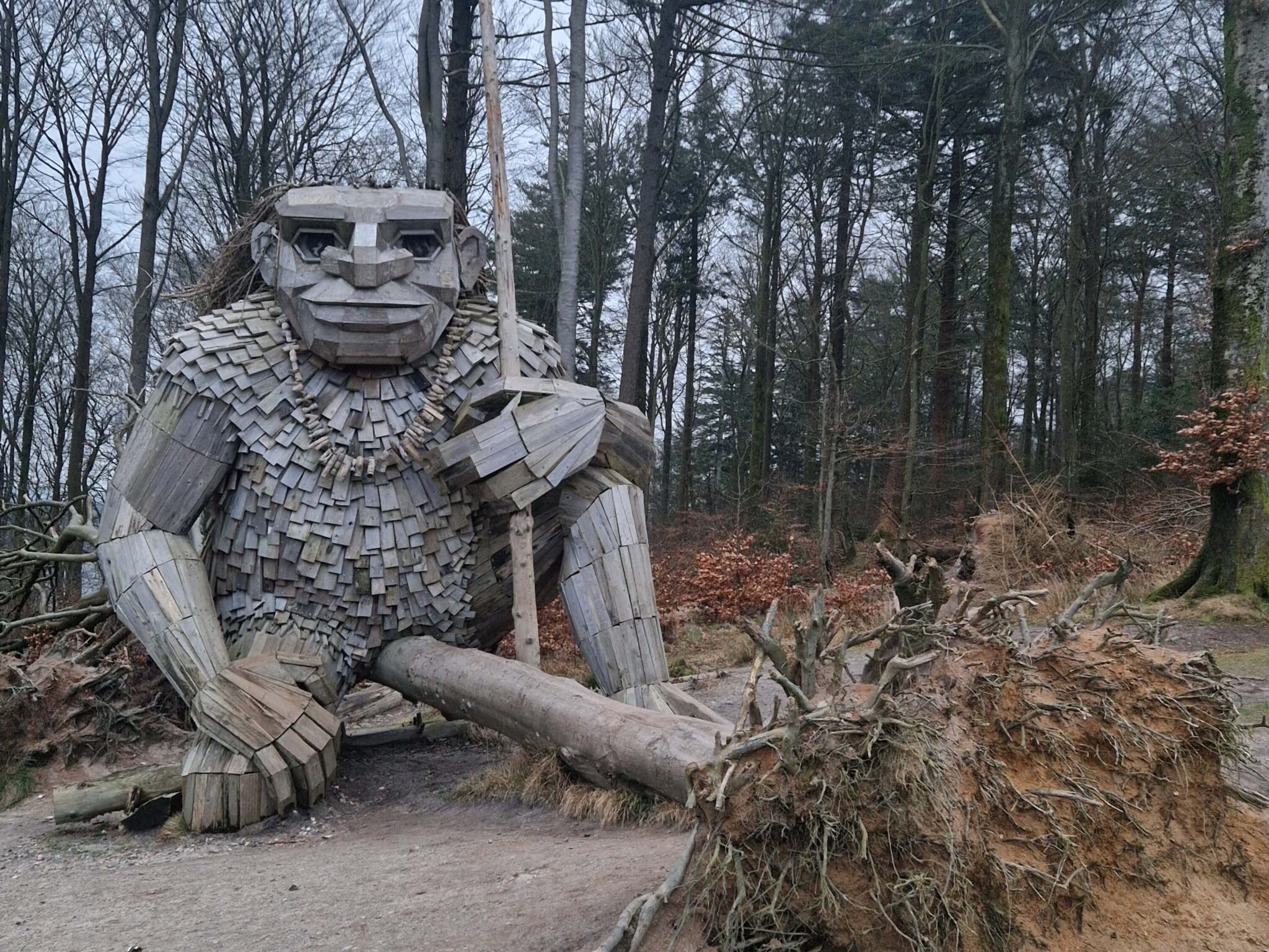 Thomas Dambo: Recycled Wood Giants and Their Impact